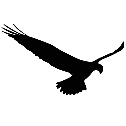 Наклейки-стикеры: силуэты хищных птиц (42 x 30) см - V18