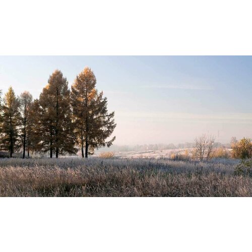 Картина на холсте 60x110 Альянс Лес "Зимнее поле утром" на подрамнике / интерьер/ декор