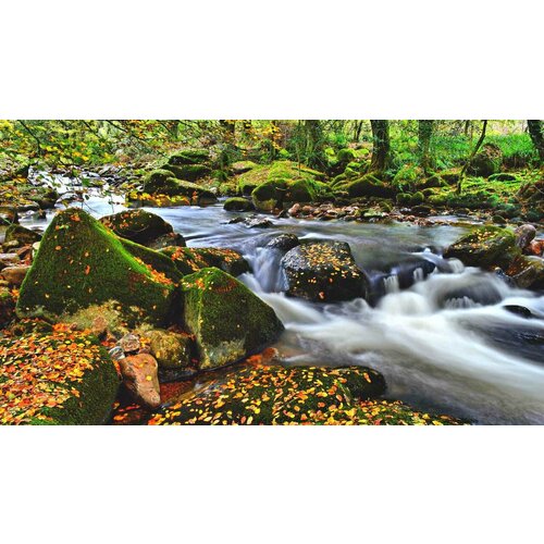 Картина на холсте 60x110 Альянс Лес "Листья лес река осень камни" на подрамнике / интерьер/ декор