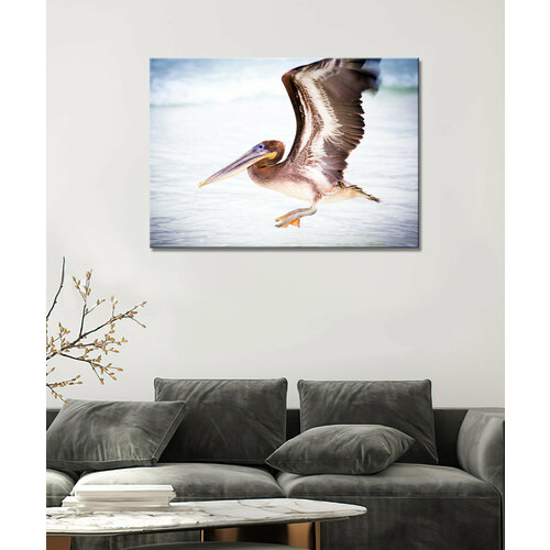 Картина/Пеликан/Пеликаны/Пелекан у моря/Пеликан вблизи/ - Пеликан (8) 30х40
