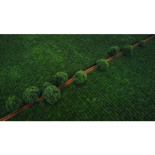 Картина на холсте 60x110 Альянс Лес "Природа деревья дорога поле" на подрамнике / интерьер/ декор
