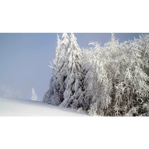 Картина на холсте 60x110 Альянс Лес "Зима Природа Лес Снег" на подрамнике / интерьер/ декор