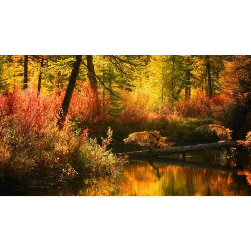 Картина на холсте 60x110 Альянс Лес "Осень в лесу Колыма" на подрамнике / интерьер/ декор