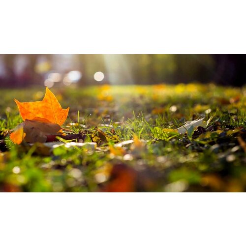 Картина на холсте 60x110 Альянс Лес "Осень природа листья" на подрамнике / интерьер/ декор