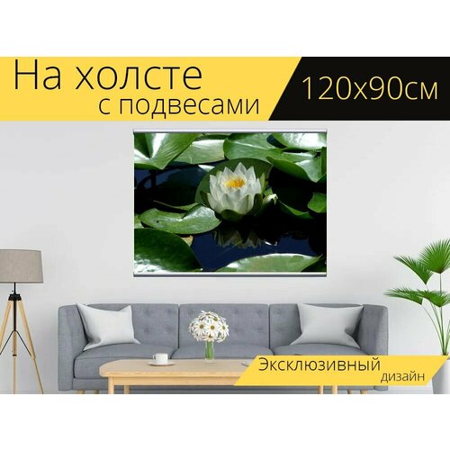 Картина на холсте "Цветок, цветок лотоса, лотос" с подвесами 120х90 см. для интерьера