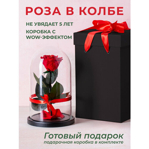 Роза в колбе премиум 7-8 см Красная в черной подарочной коробке