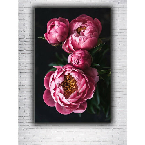 Картина/Картина на холсте/Картина на холсте для интерьера/Картина на стену/Картина в подарок для дома/- Четыре розовых пиона 40х60