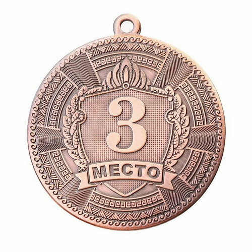 Медаль призовая 197 диам 5 см 3 место. Цвет бронз. Без ленты
