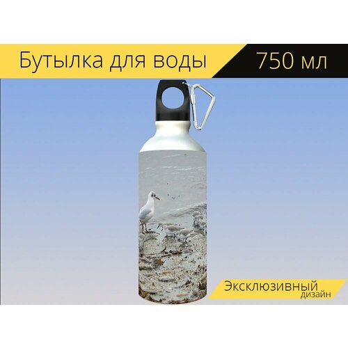 Бутылка фляга для воды "Птицы, морские птицы, чайка" 750 мл. с карабином и принтом