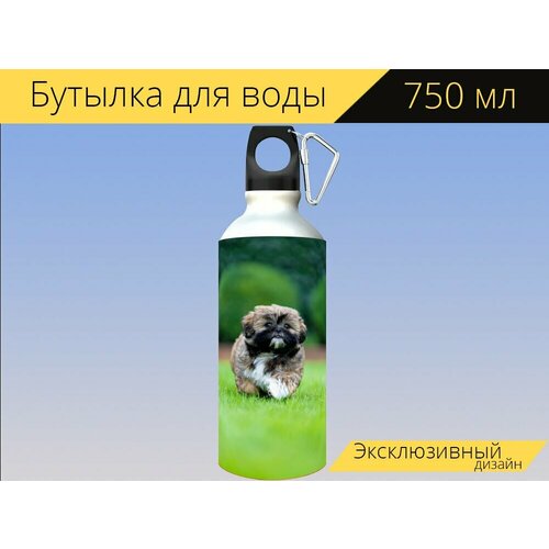 Бутылка фляга для воды "Ши тцу, собака, щенок" 750 мл. с карабином и принтом