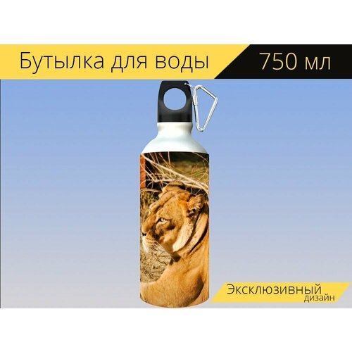 Бутылка фляга для воды "Грустные глаза, львица, дикая природа" 750 мл. с карабином и принтом