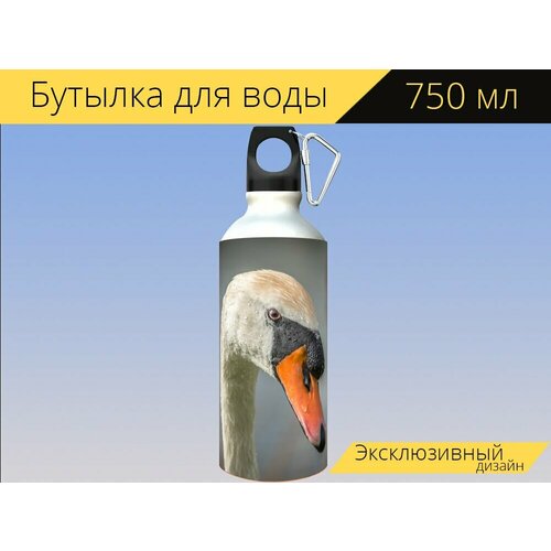 Бутылка фляга для воды "Лебедь, птица, клюв" 750 мл. с карабином и принтом