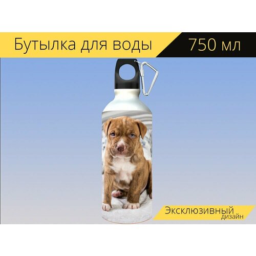 Бутылка фляга для воды "Собака, щенок, домашний питомец" 750 мл. с карабином и принтом