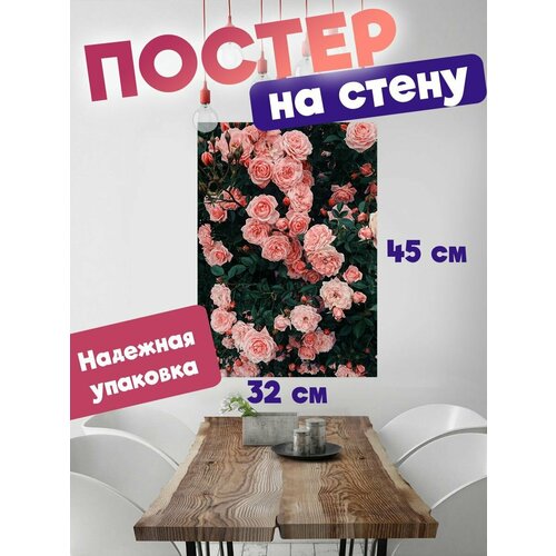Постер 32х45 Эстетика роз