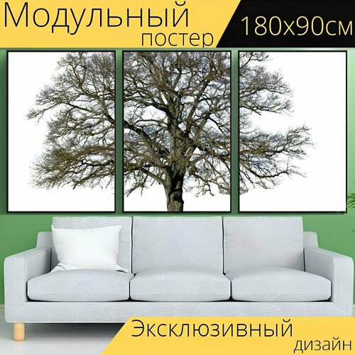 Модульный постер "Дерево, без листьев, природа" 180 x 90 см. для интерьера