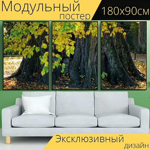 Модульный постер "Ствол дерева, корень, липа" 180 x 90 см. для интерьера