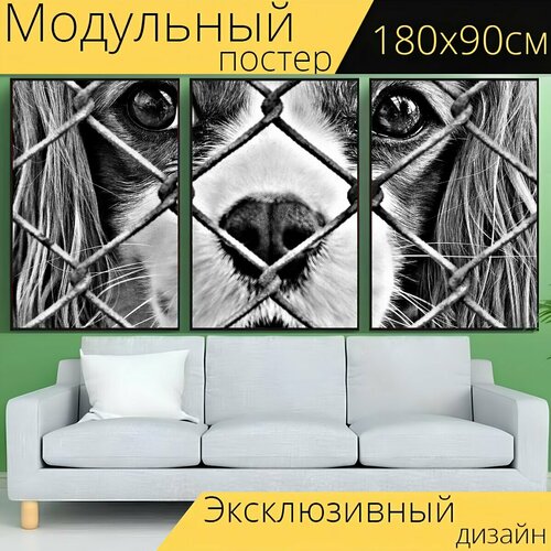 Модульный постер "Забота о животных, собака, заперто" 180 x 90 см. для интерьера