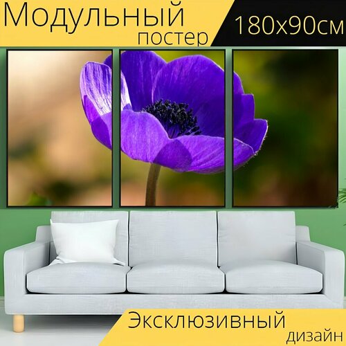 Модульный постер "Лютик, цветок, цвести" 180 x 90 см. для интерьера