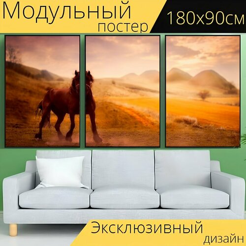 Модульный постер "Лошадь, животное, небо" 180 x 90 см. для интерьера
