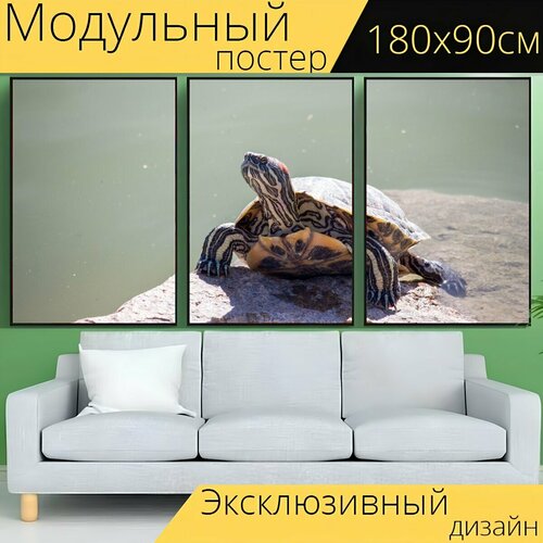 Модульный постер "Рептилия, черепаха, вода" 180 x 90 см. для интерьера