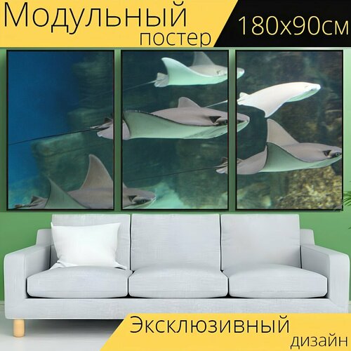 Модульный постер "Скат, аквариум, океан" 180 x 90 см. для интерьера