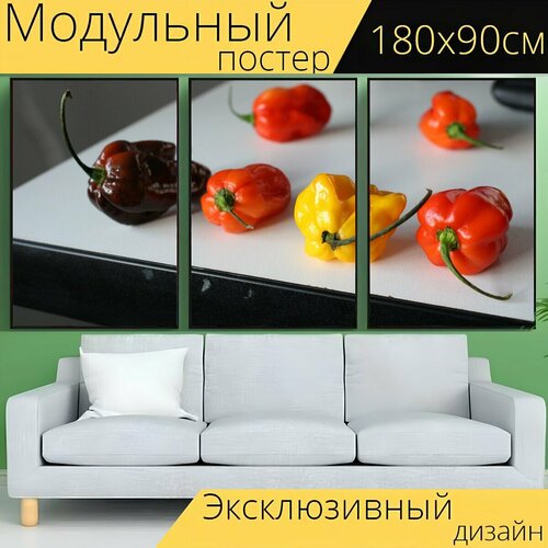 Модульный постер "Перец, овощи, специи" 180 x 90 см. для интерьера