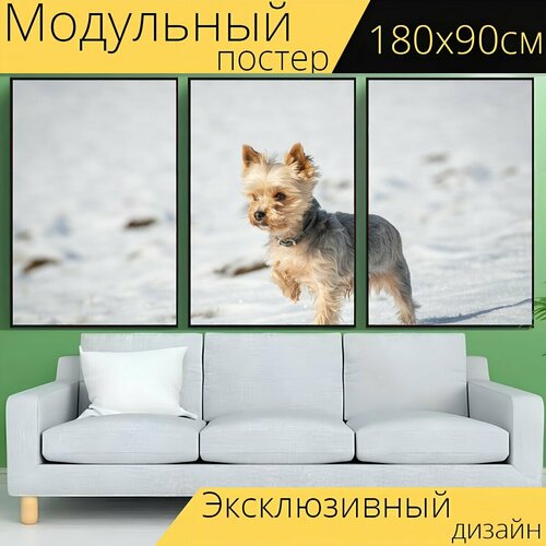 Модульный постер "Собака, небольшой, зима" 180 x 90 см. для интерьера