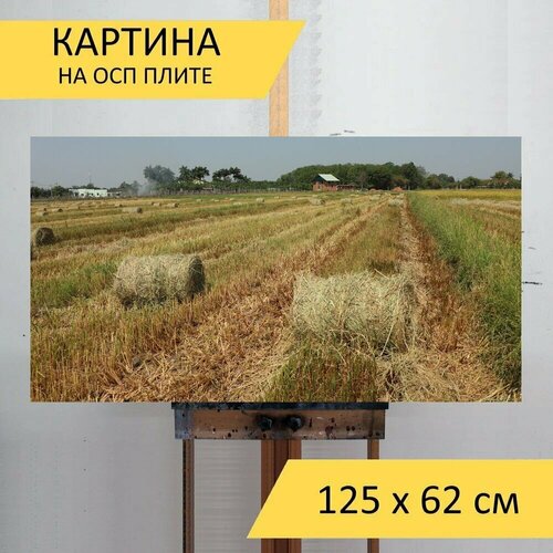 Картина на ОСП 125х62 см. "Два риса ролл в линии, уборка урожая, фермер" горизонтальная, для интерьера, с креплениями