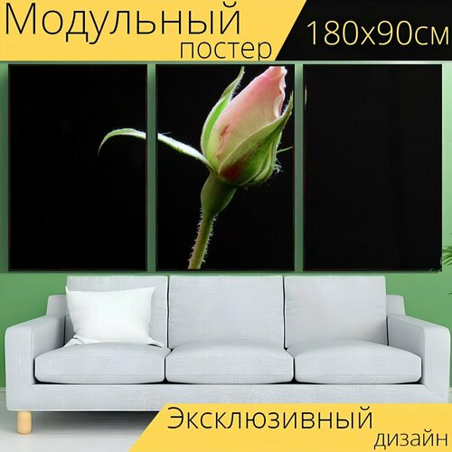 Модульный постер "Цветок, сад, природа" 180 x 90 см. для интерьера