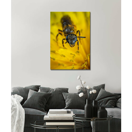 Картина - Муравей, муравей макро, муравей близко (41) 20х30
