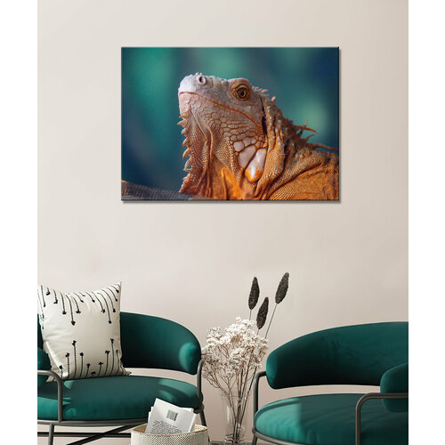 Картина - Игуана, мадагаскарская игуана, коричневая игуана (7) 20х30