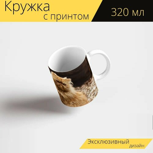 Кружка с рисунком, принтом "Персы, персидская кошка, домашнее животное" 320 мл.