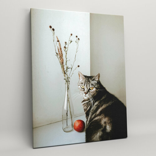 Картина на холсте (интерьерный постер) "Натюрморт - кот, ваза и яблоко" в скандинавском стиле, с деревянным подрамником, размер 45x60 см