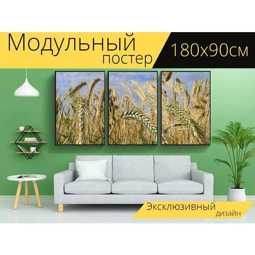 Модульный постер "Сельское хозяйство, хлеб, хлопья" 180 x 90 см. для интерьера