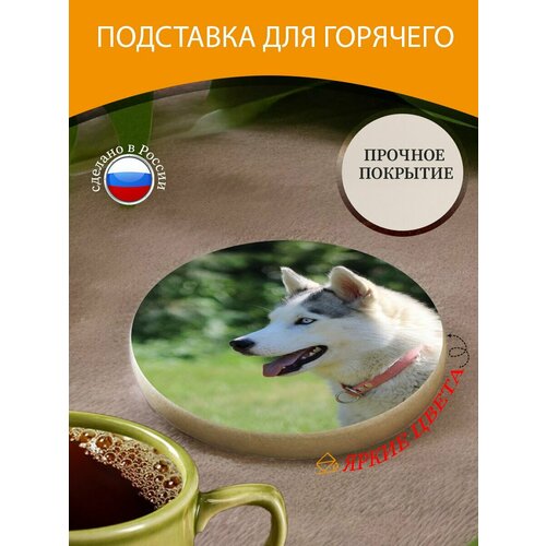 Подставка под горячее "Хаски, сибирский хаски, собака" 10 см. из блого мрамора