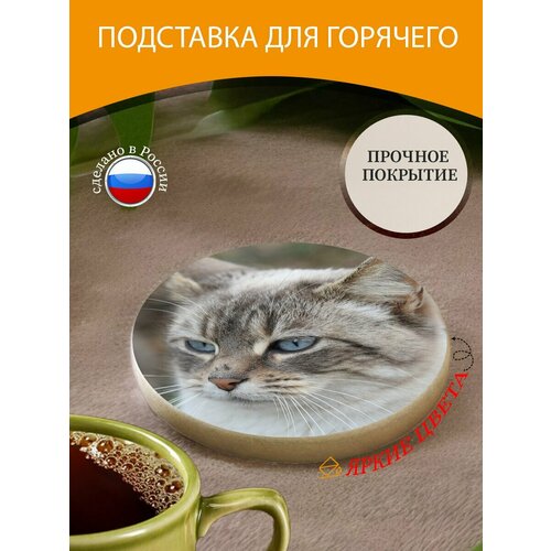 Подставка под горячее "Кошка, портрет кошки, уши кошки" 10 см. из блого мрамора