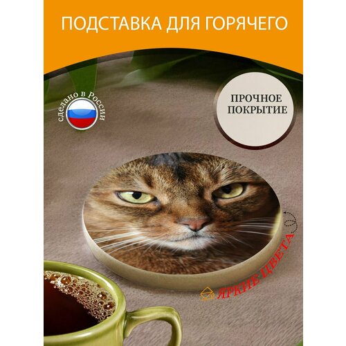 Подставка под горячее "Кот, кошка породы, абиссинская" 10 см. из блого мрамора