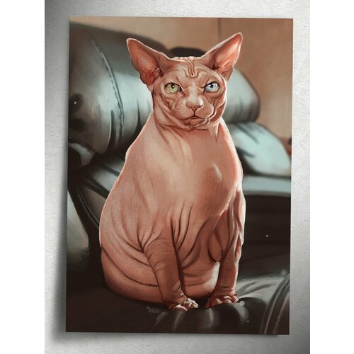 Постер: недовольный кот сфинкс, на А3