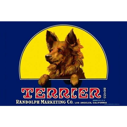 Плакат, постер на холсте иностранный Terrier brand. Размер 42 х 60 см