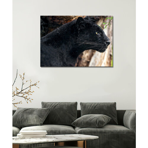 Картина/Ягур/Ягуар в джунглях/Ягуар на дереве/Черный ягуар/ - Черный ягуар (9) 20х30