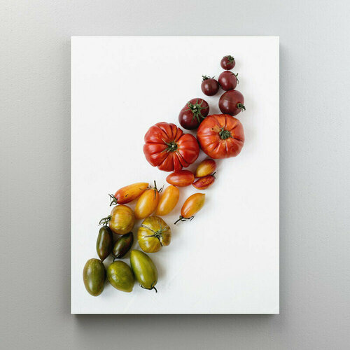 Интерьерная картина на холсте "Разноцветные томаты", размер 45x60 см