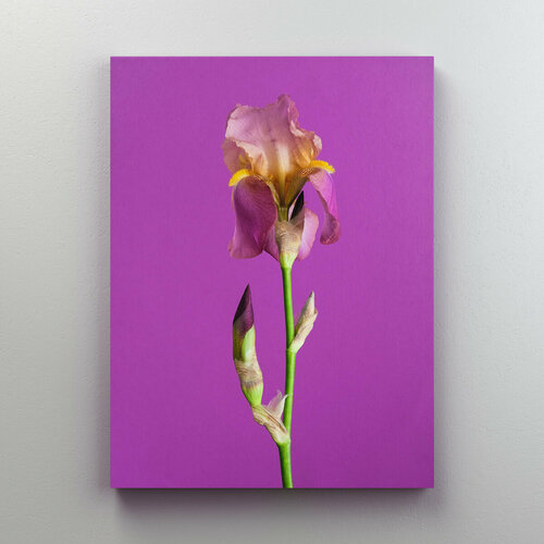 Интерьерная картина на холсте "Фиолетовый ирис" растения, размер 30x40 см