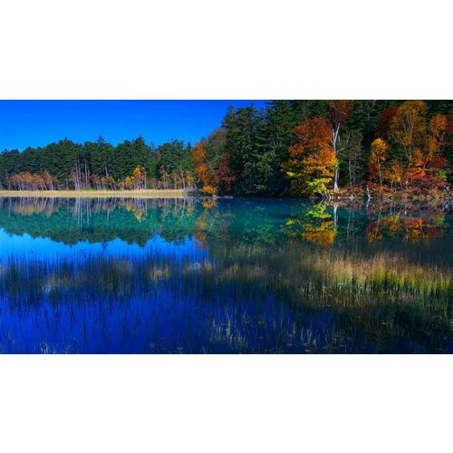 Картина на холсте 60x110 Альянс Лес "Япония осень озеро лес" на подрамнике / интерьер/ декор