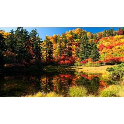 Картина на холсте 60x110 Альянс Лес "Деревья озеро осень" на подрамнике / интерьер/ декор