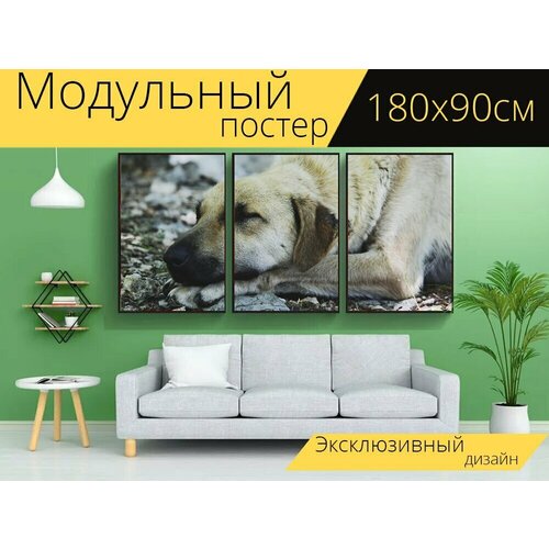Модульный постер "Животное, крупный план, собака" 180 x 90 см. для интерьера
