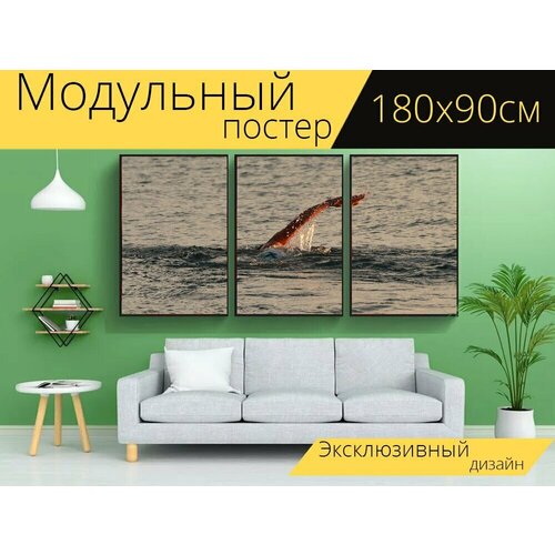 Модульный постер "Плавать, пловец, виды спорта" 180 x 90 см. для интерьера
