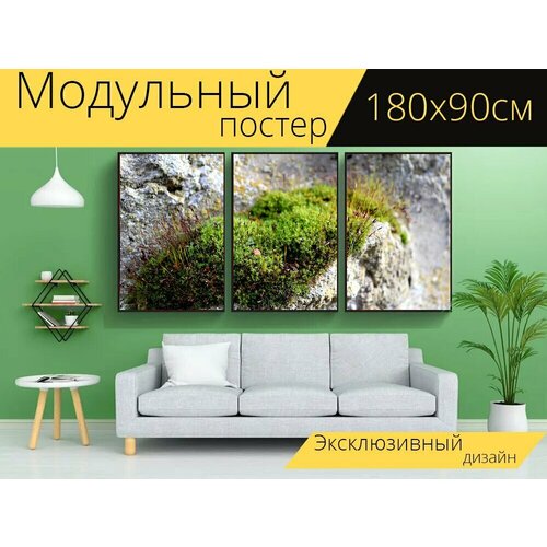 Модульный постер "Пены, растения, салатовый цвет" 180 x 90 см. для интерьера