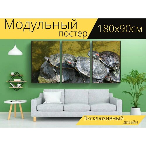 Модульный постер "Черепахи, красноухие черепахи, природа" 180 x 90 см. для интерьера