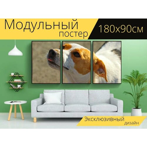 Модульный постер "Собака, гибридный, портрет" 180 x 90 см. для интерьера