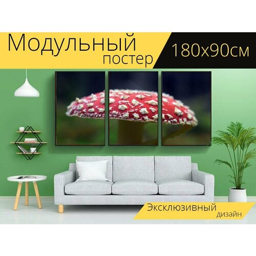 Модульный постер "Природа, гриб, мухомор" 180 x 90 см. для интерьера